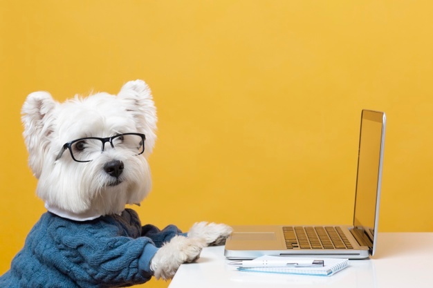 Binding Vs Non Binding Contracts What s The Difference AXDRAFT Blog